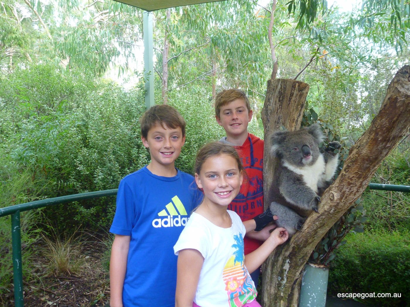 What Are Some Cool Things to Do in Adelaide | Escapegoat
