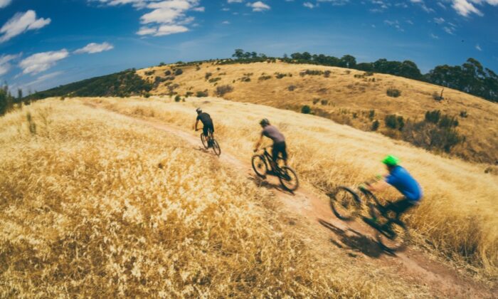 Best MTB spots in the Adelaide Hills | Escapegoat